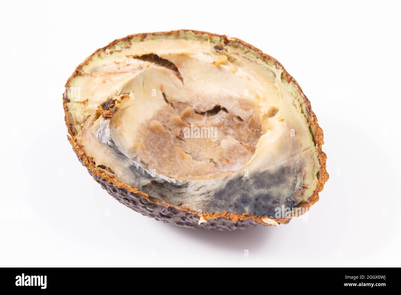 Half of an avocado with mold on white background. Unhealthy and spoiled ...