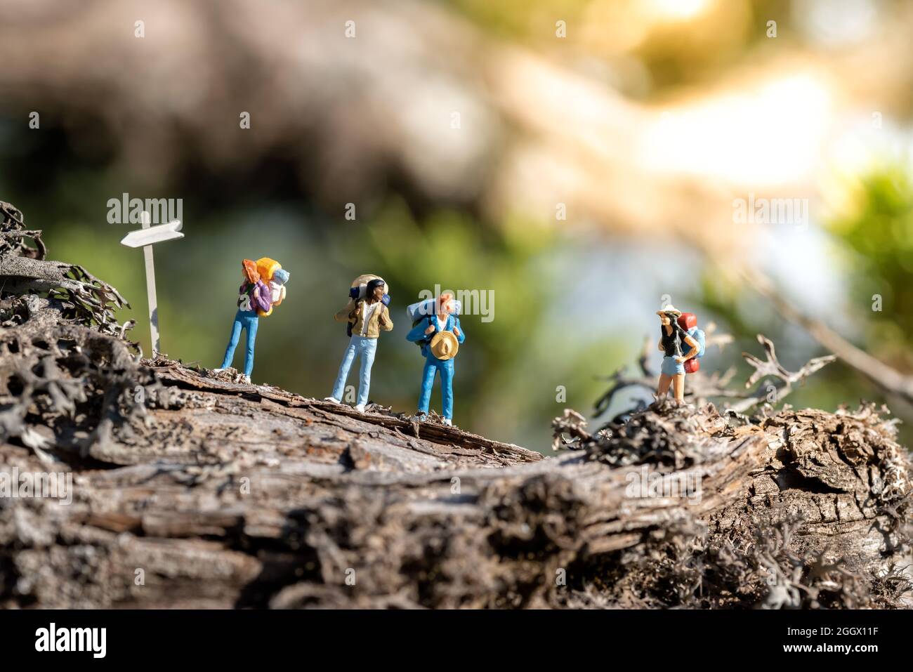 Female figure with rucksack hi-res stock photography and images - Alamy