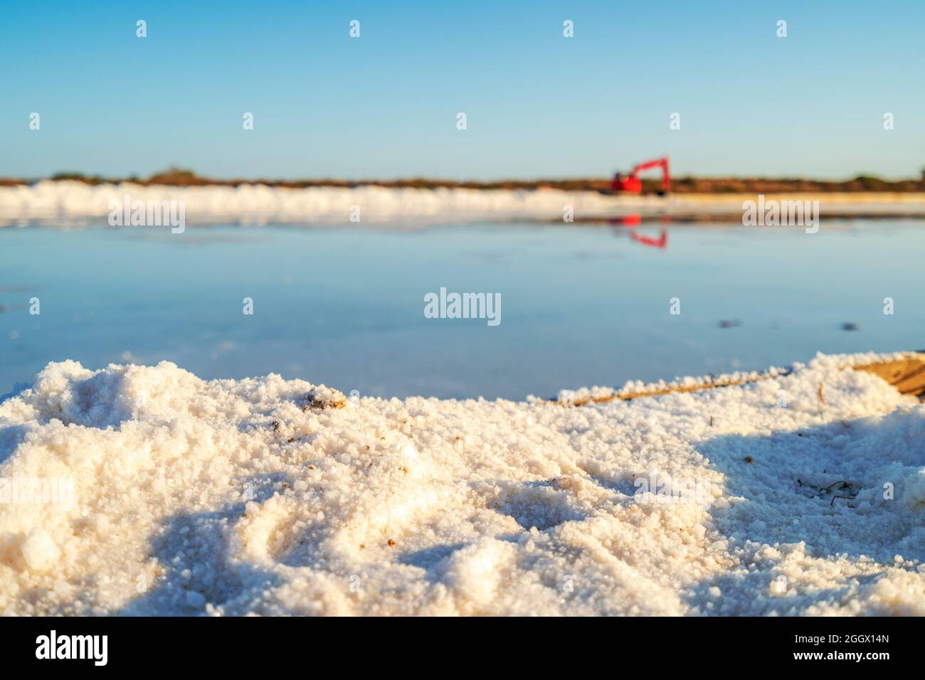 Shallow water environment hi-res stock photography and images - Alamy