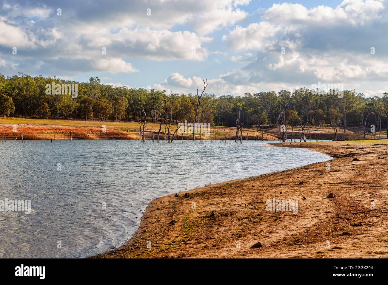 Dead trees in Tinaroo Falls Dam Stock Photo - Alamy