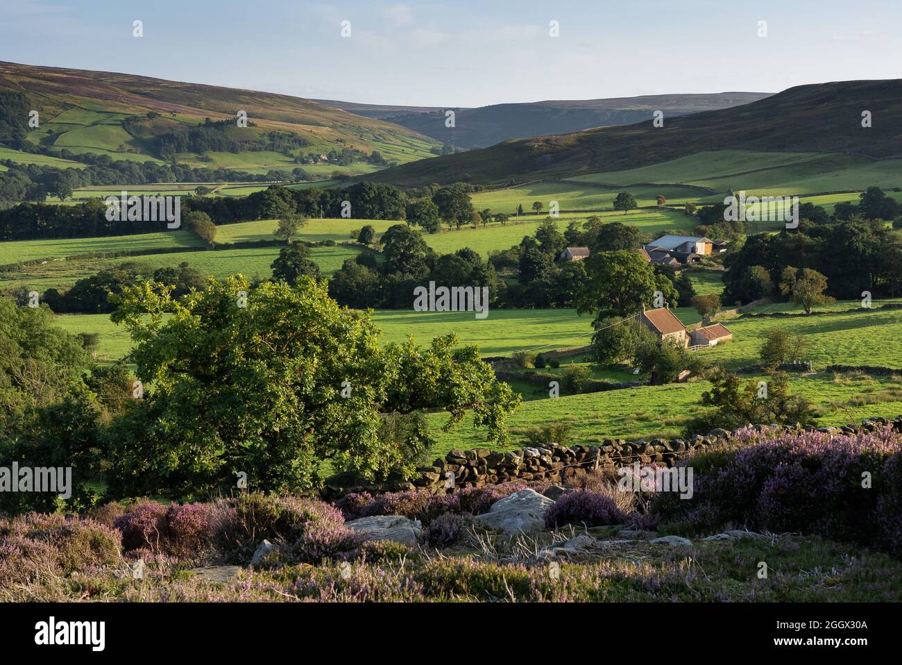Expansive view over countryside in the North York Moors Stock Photo - Alamy