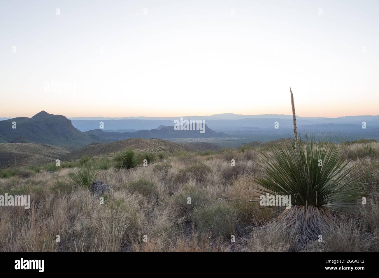 Texas desert hi-res stock photography and images - Alamy