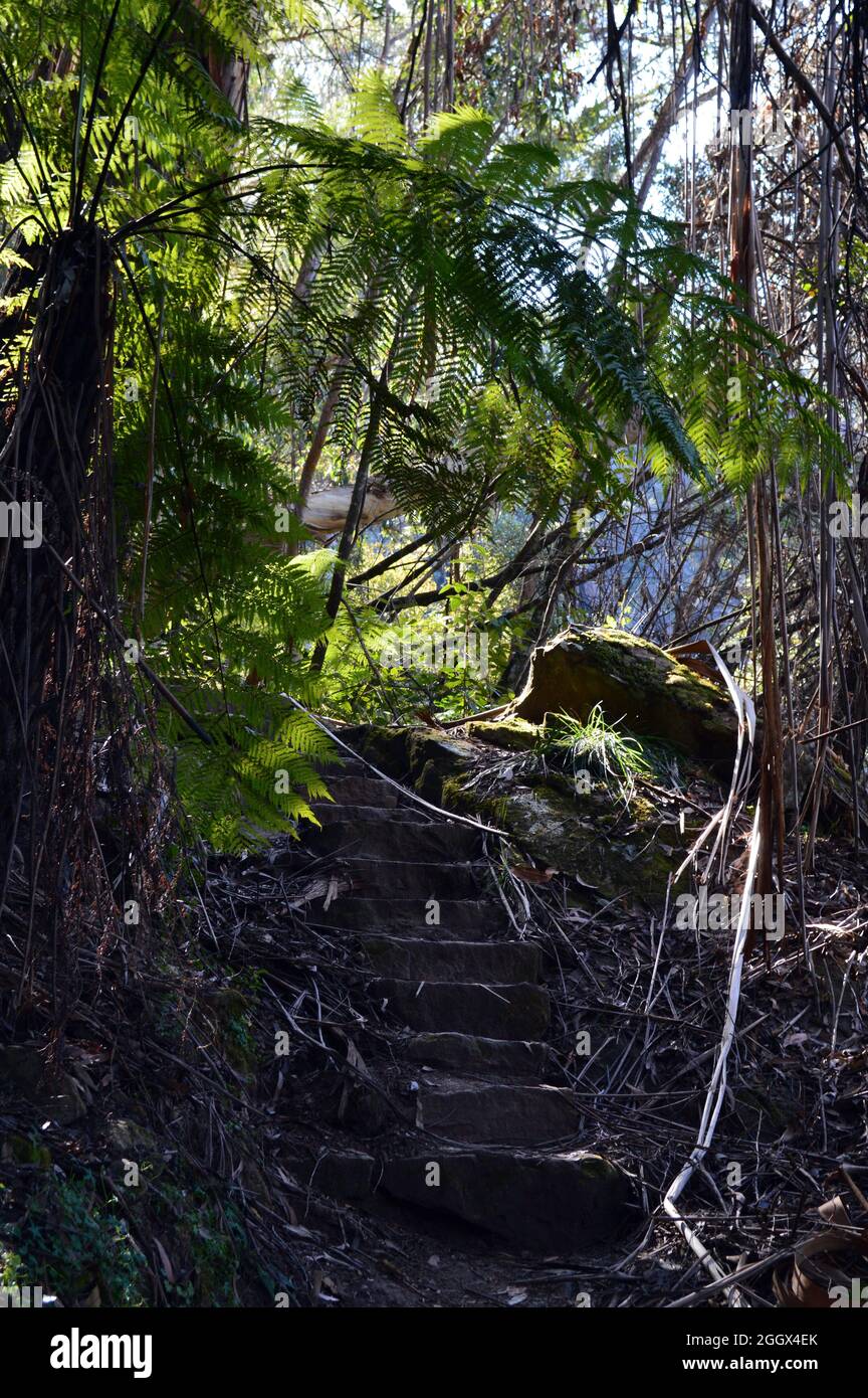 Ruined castle, australia hi-res stock photography and images - Alamy