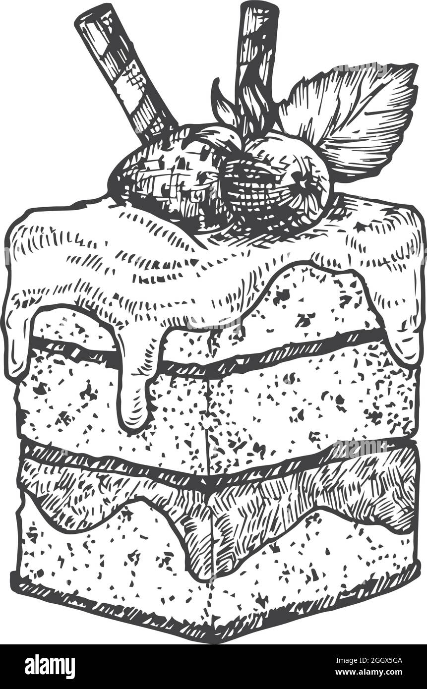 Square Cake with Berries Sweets Hand Drawn Doodle Vector Illustration ...
