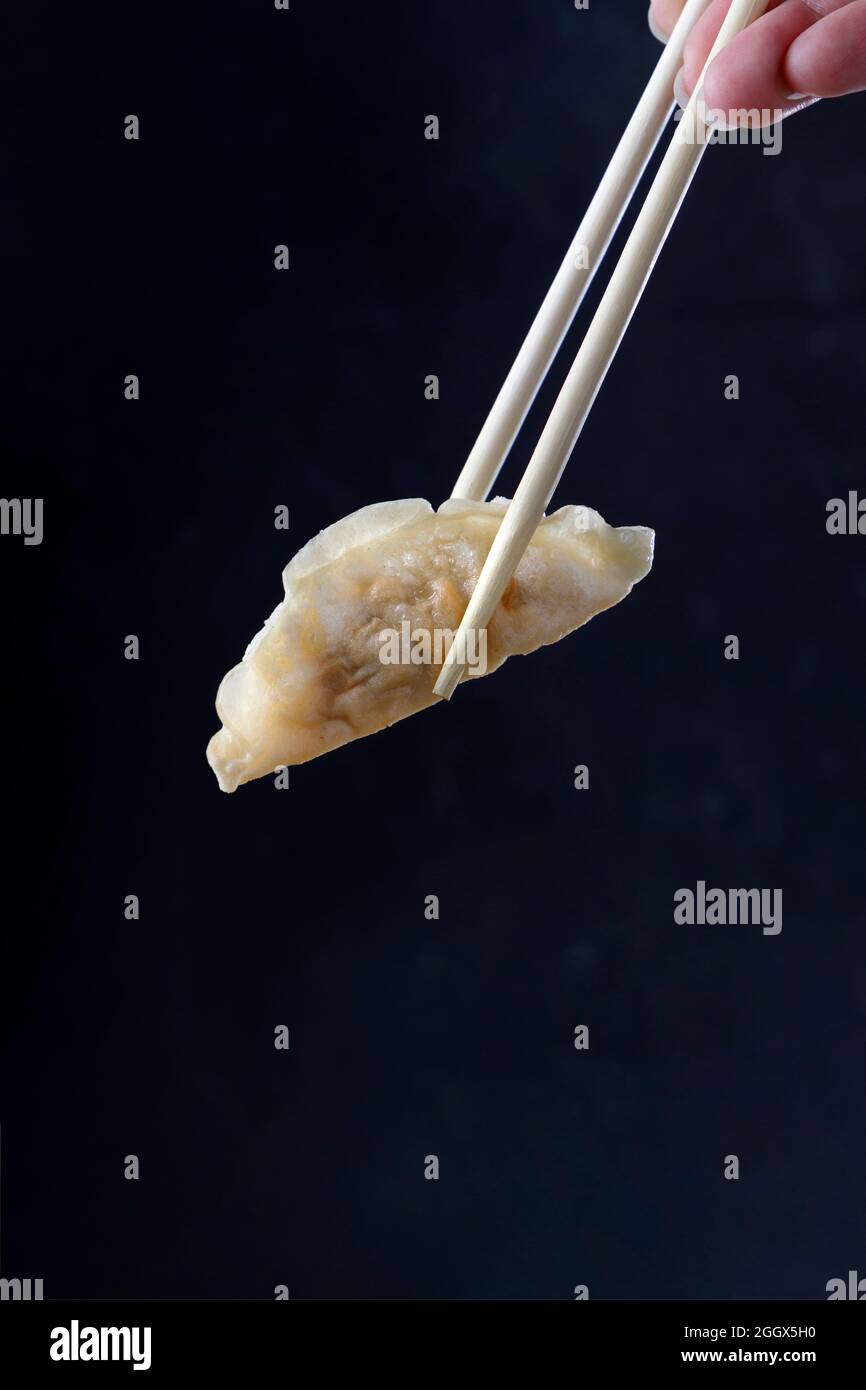 Chinese dumpling held up by chopsticks with black background Stock ...