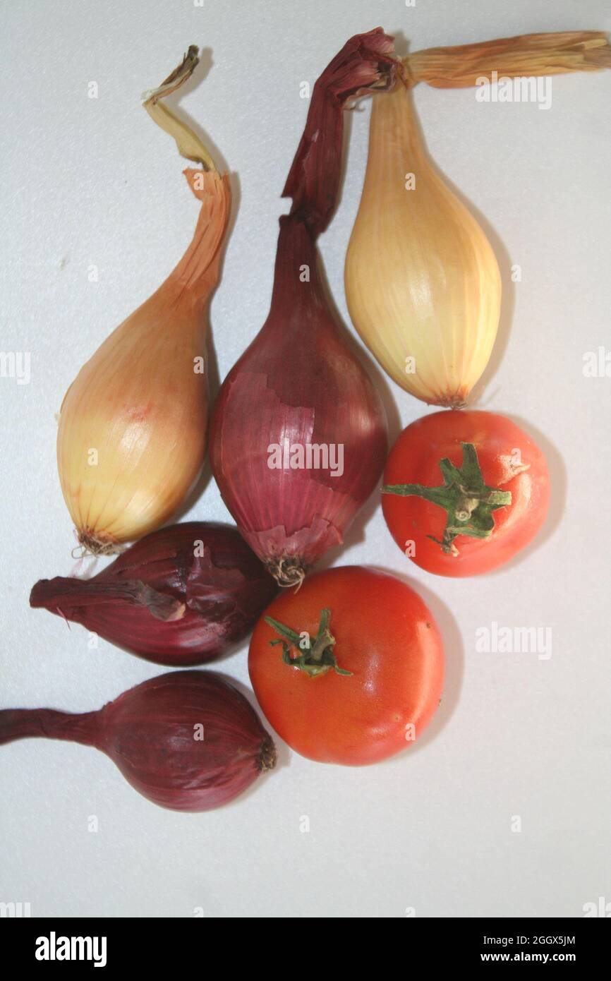 Best vegetable picture hi-res stock photography and images - Alamy