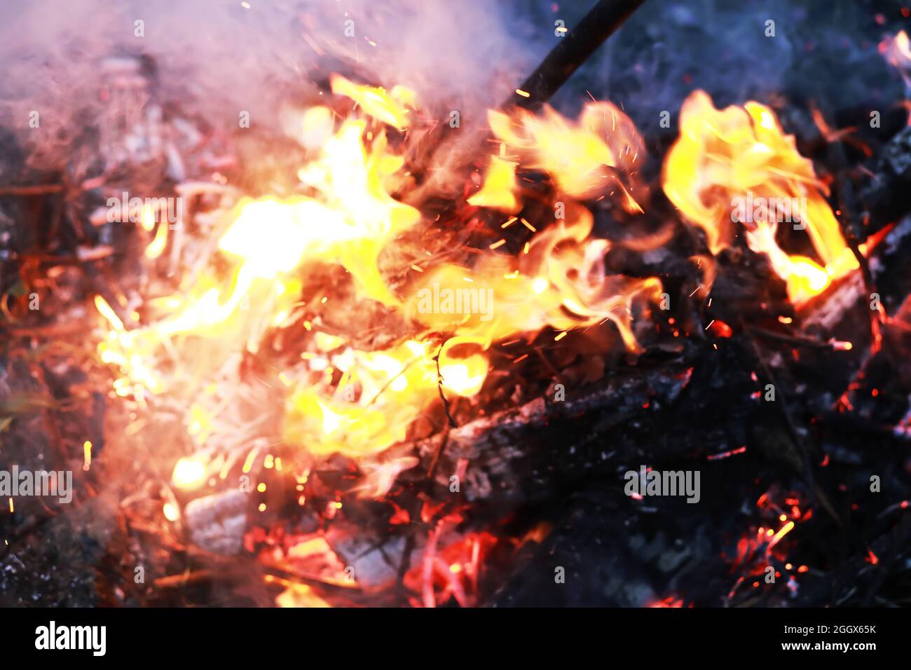 Burning red hot sparks fly from big fire. Burning coals, flaming ...