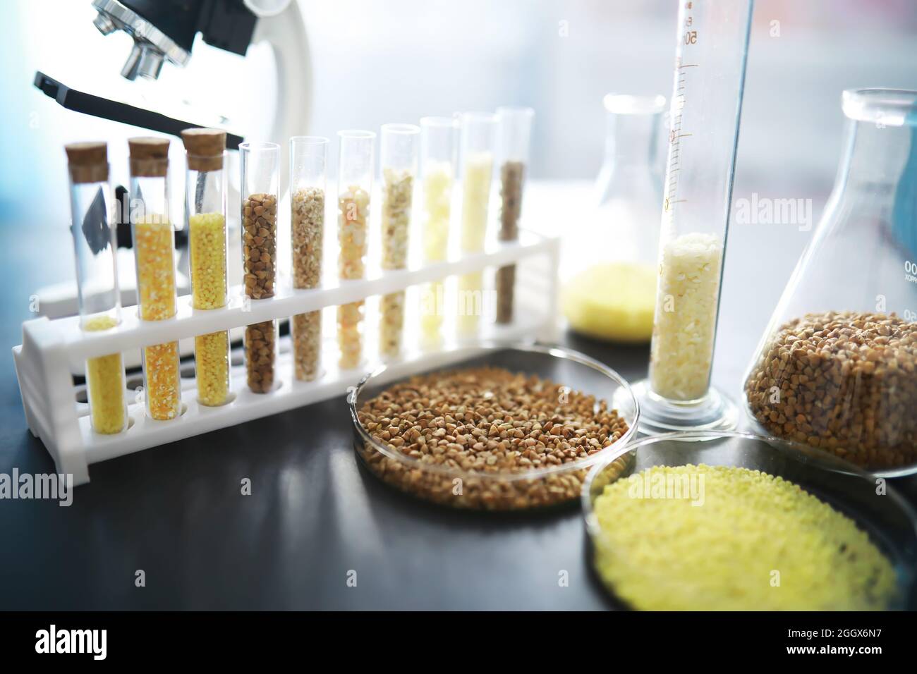 Test tubes with seeds of selection plants. Research Analyzing ...