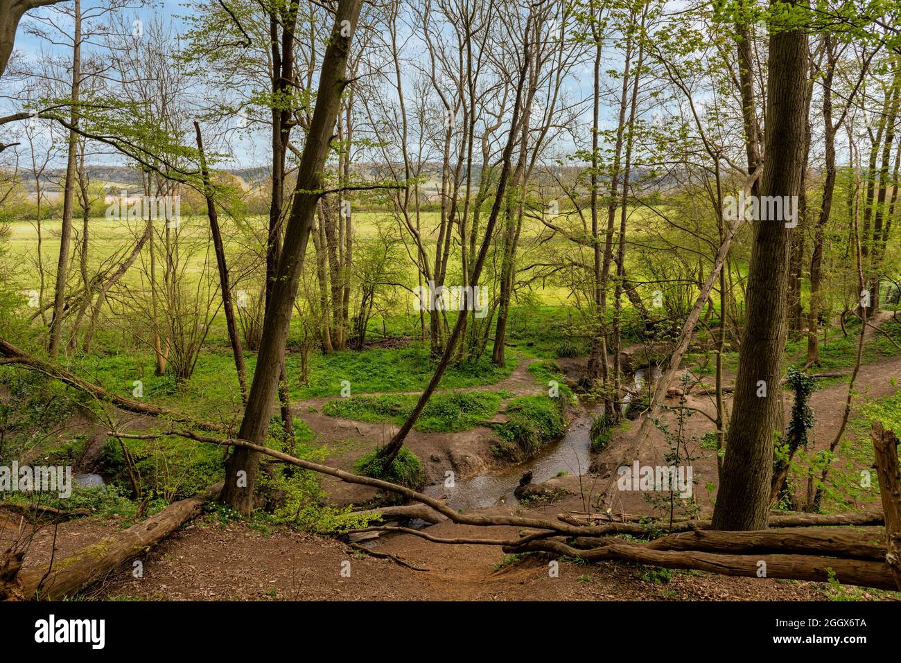 Stream running through Cuckoo woods at Sandling in Maidstone, Kent ...