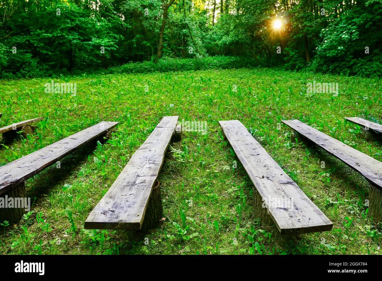 Wooden benches in the park. Relax time Stock Photo - Alamy