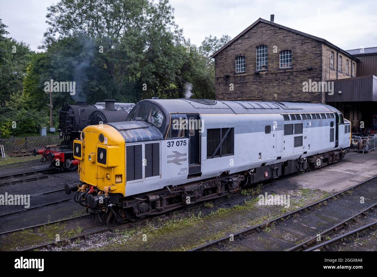 Class 37 Diesel Locomotive 37 075, built in 1962 and restored and owned ...