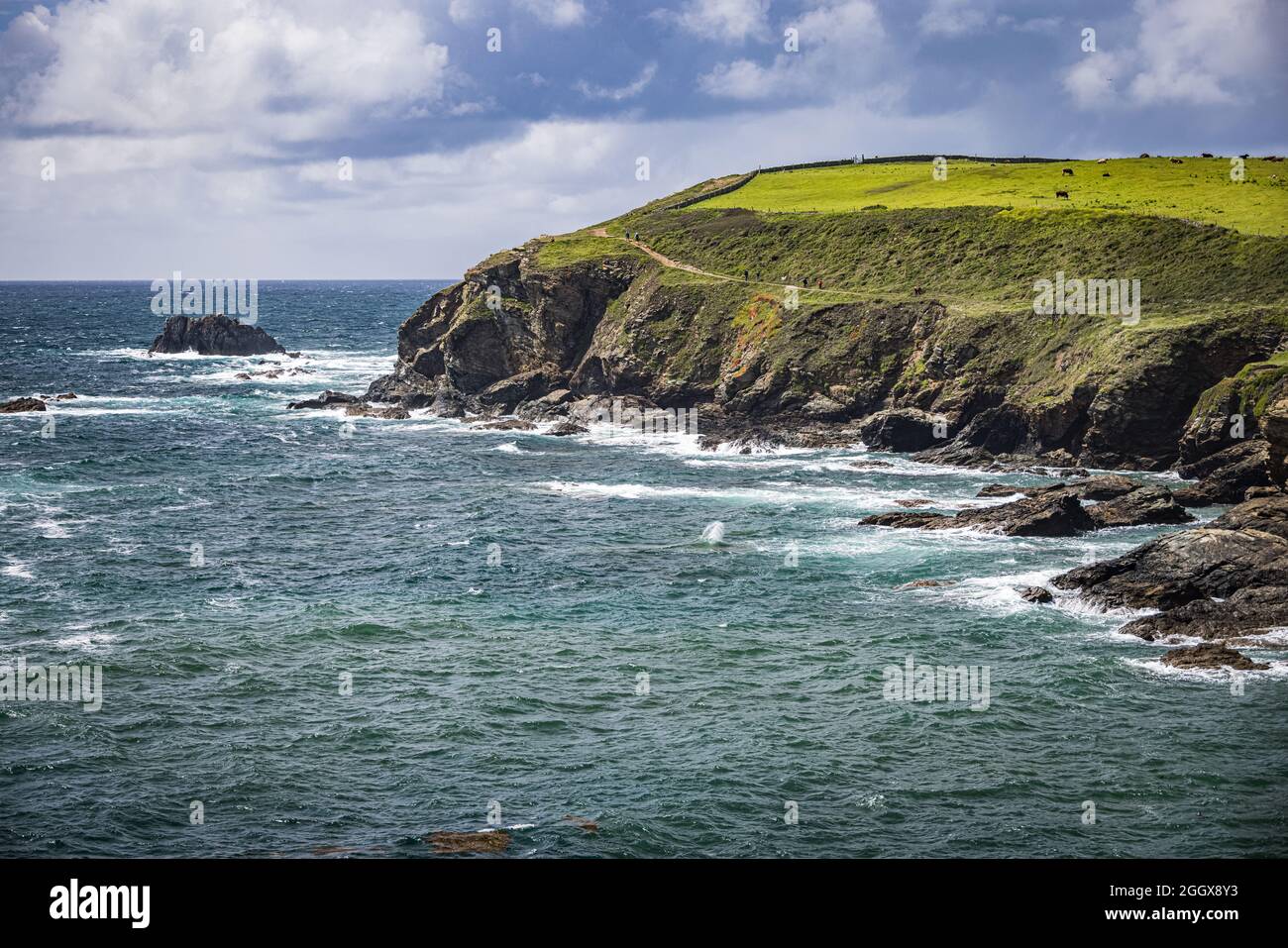 Cornwall the lizard coastal walk hi-res stock photography and images ...