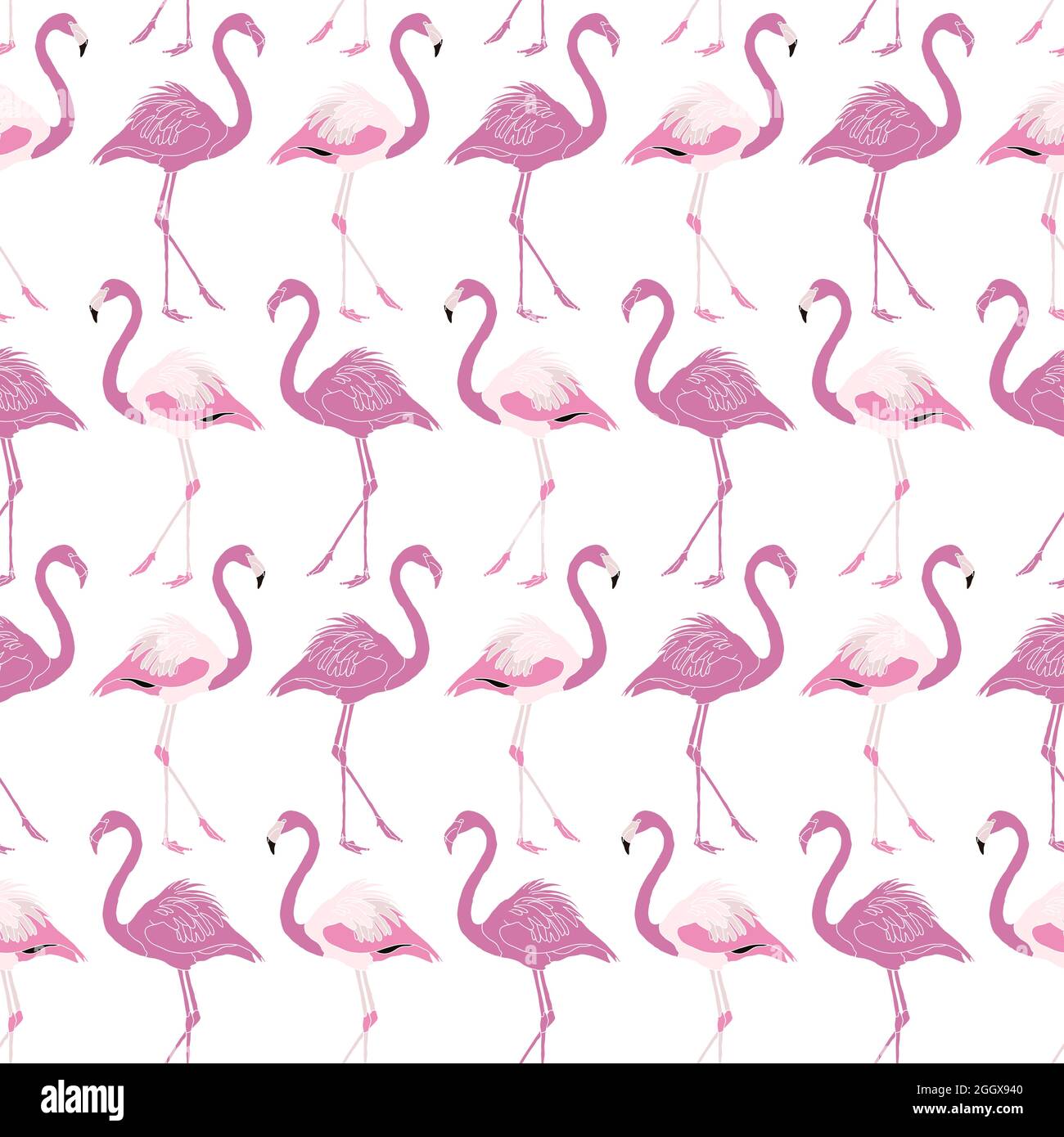 Flamingo pink white pattern Cut Out Stock Images & Pictures - Alamy