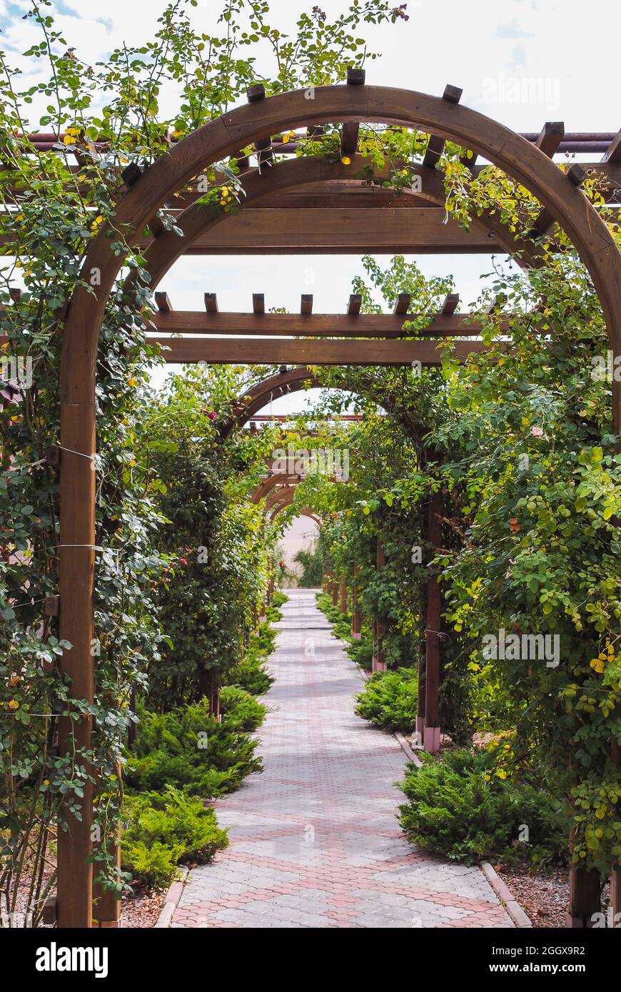 Wooden arch from plants over a path from a tile leaving in perspective ...