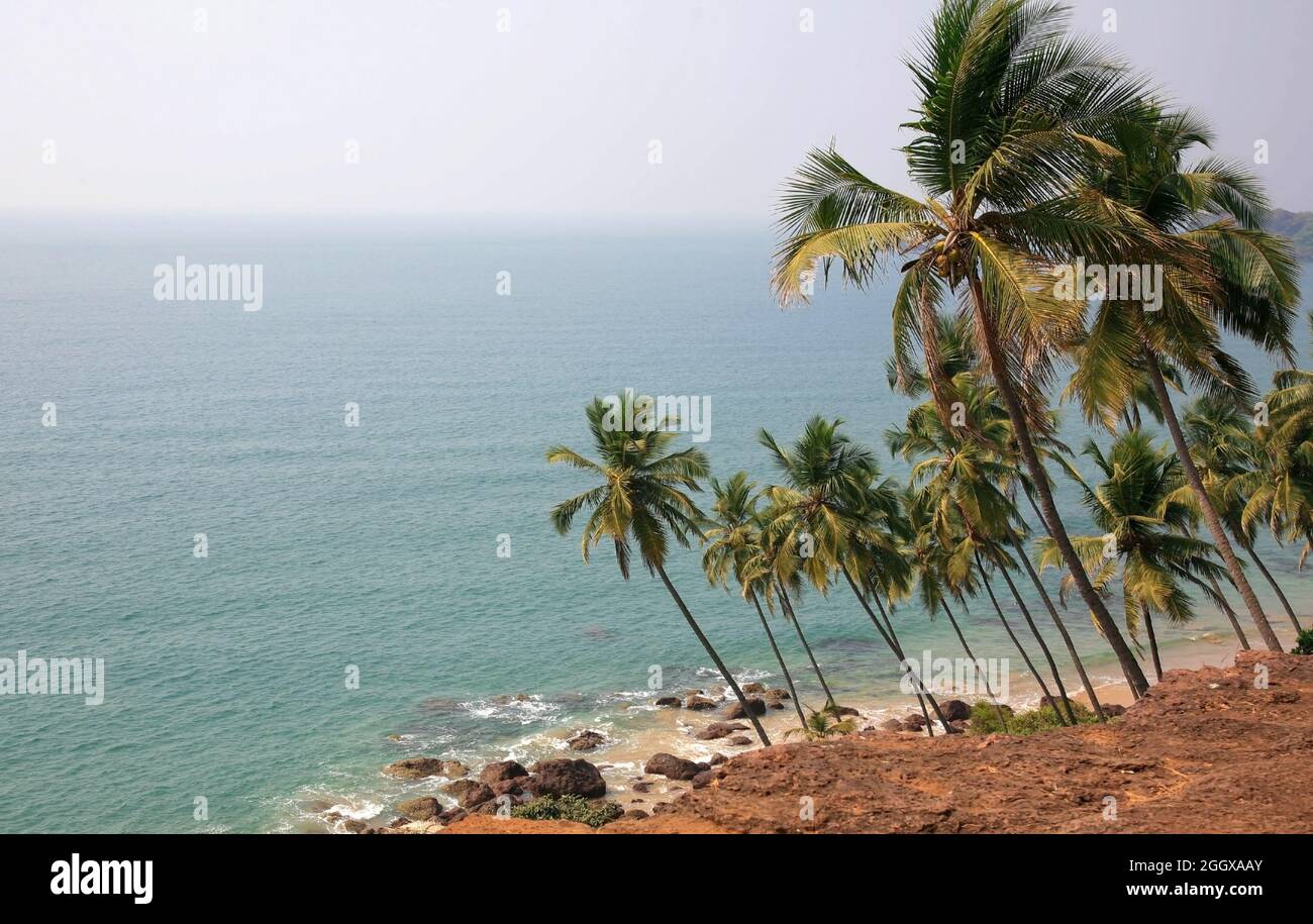 Coconut trees over the sea on the beach of Cabo de Rama in Goa India ...