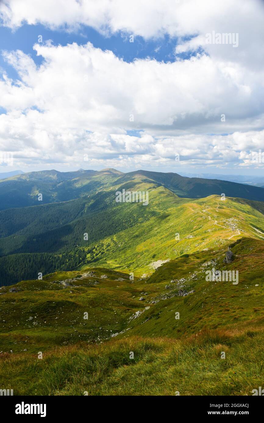 The ridge overgrown with green grass is brightly lit by the sun, shot ...