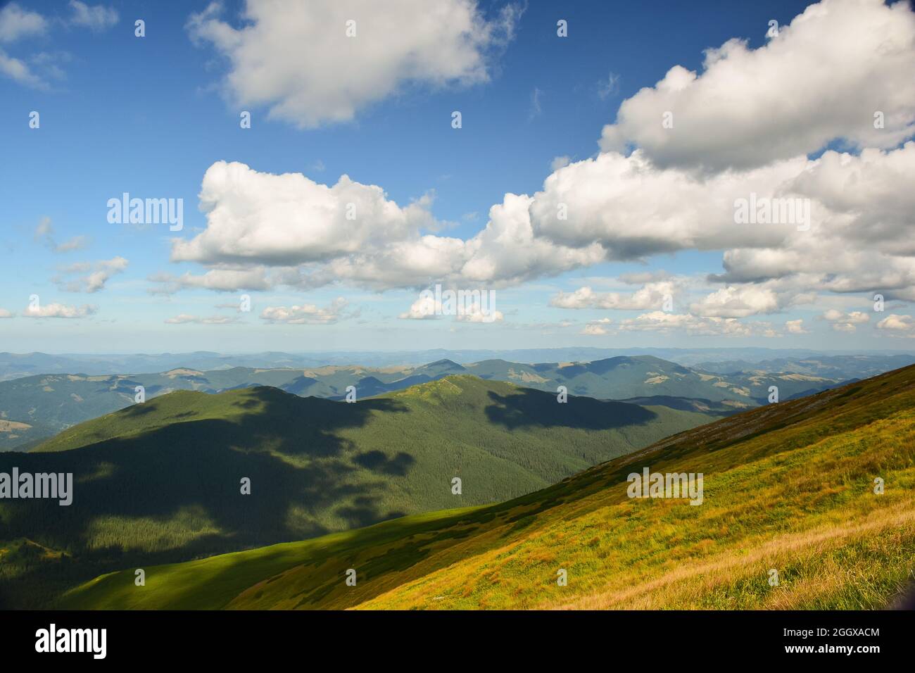 The ridge overgrown with green grass is brightly lit by the sun, shot ...