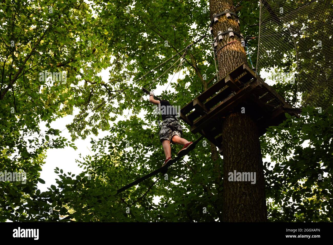 Young guy runs an obstacle course from tree to tree on a rope park ...