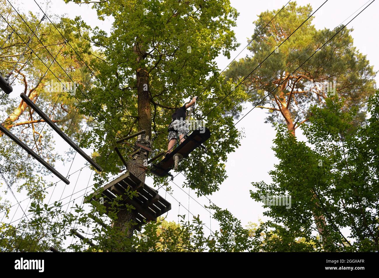 Young guy runs an obstacle course from tree to tree on a rope park ...
