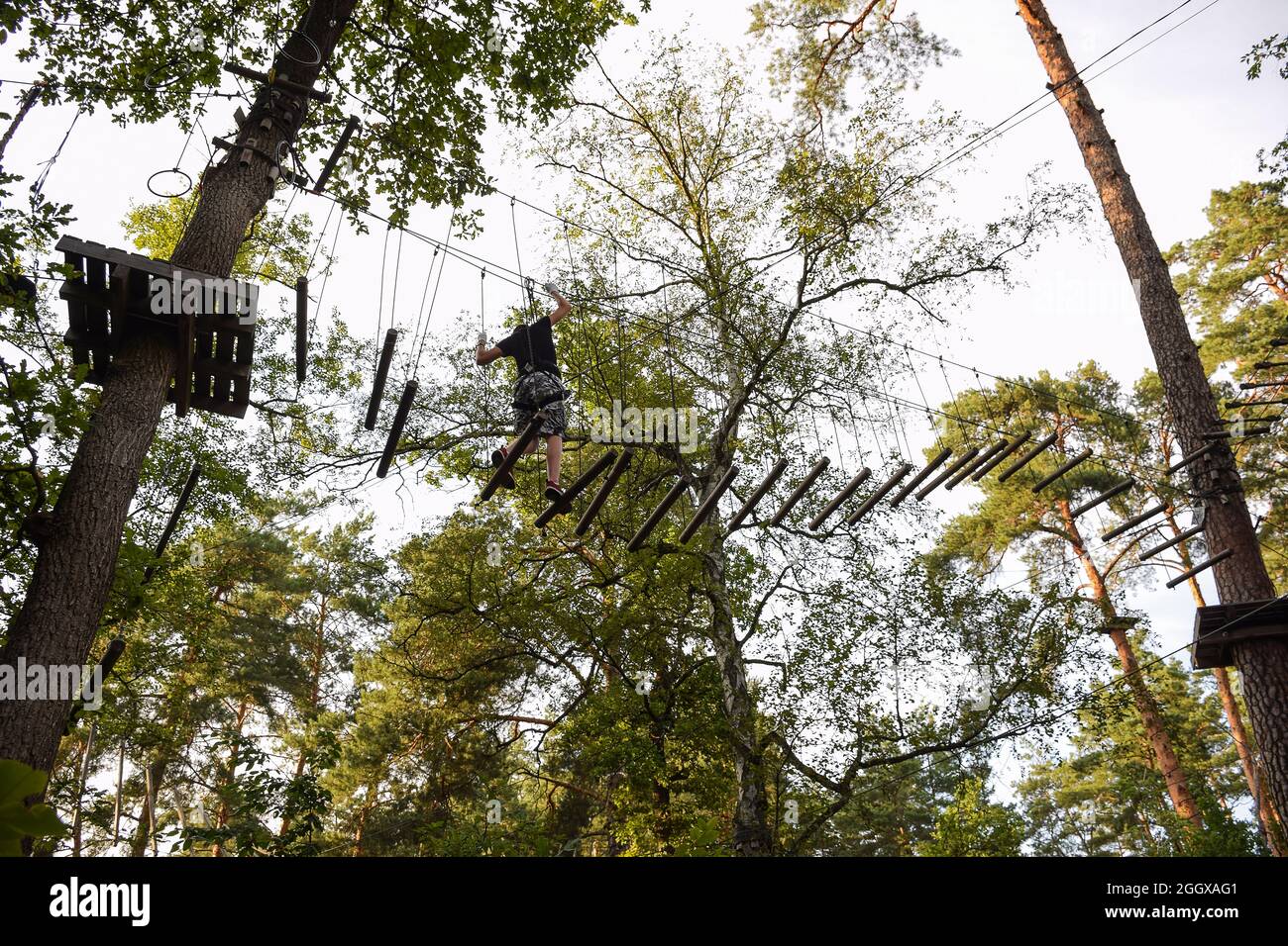 Young guy runs an obstacle course from tree to tree on a rope park ...