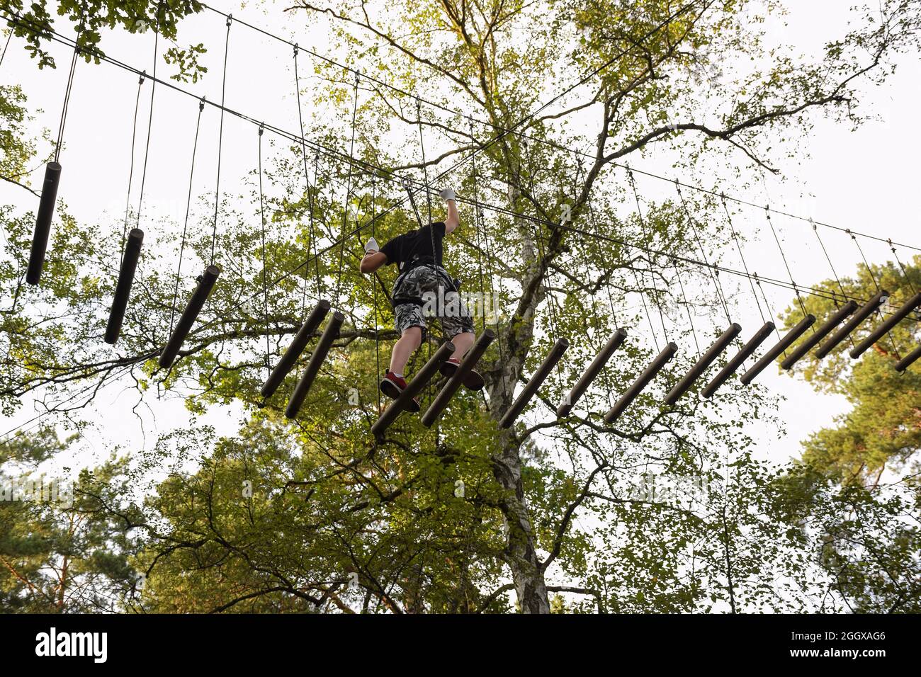 Young guy runs an obstacle course from tree to tree on a rope park ...