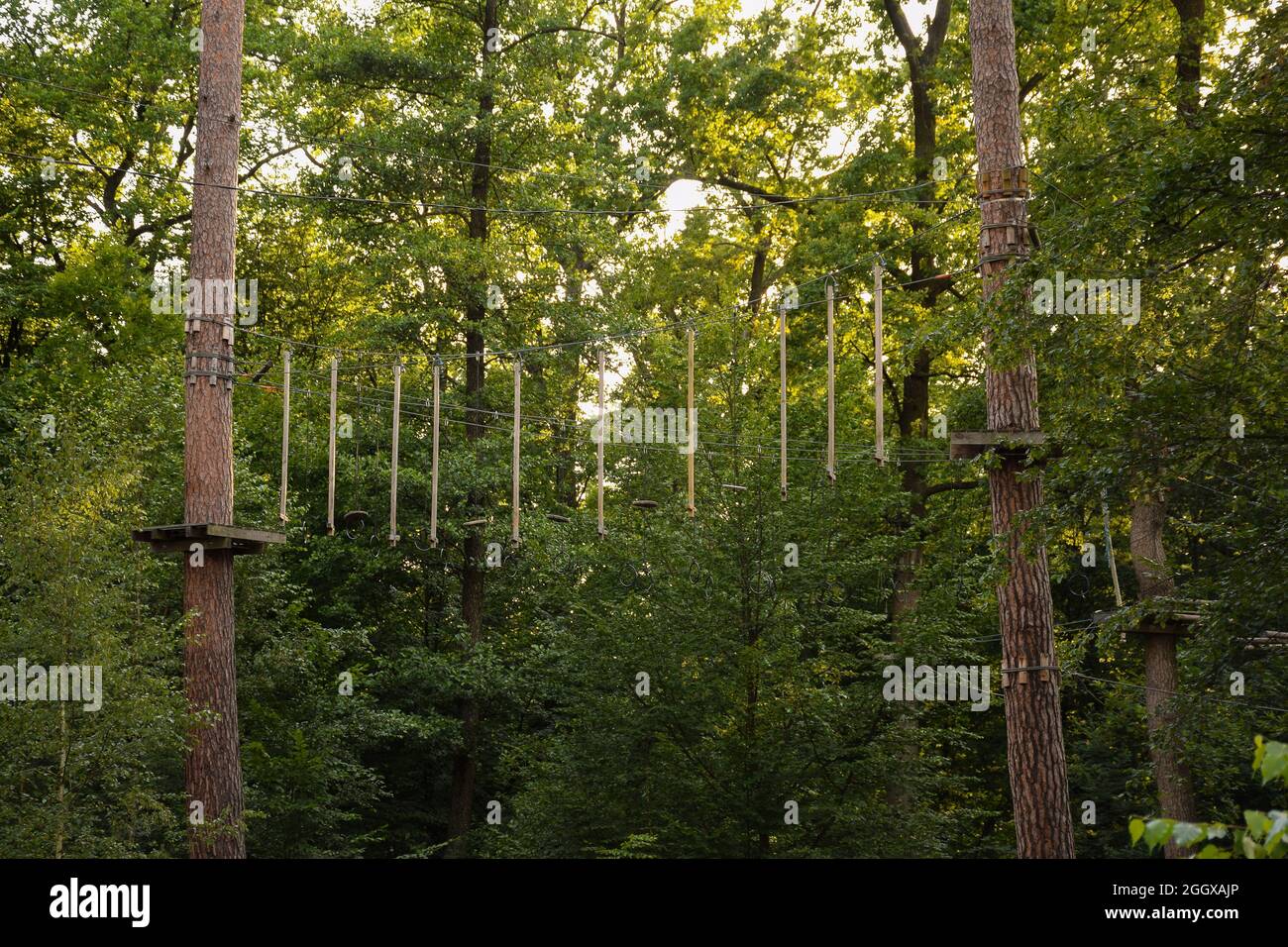 High rope park hi-res stock photography and images - Alamy
