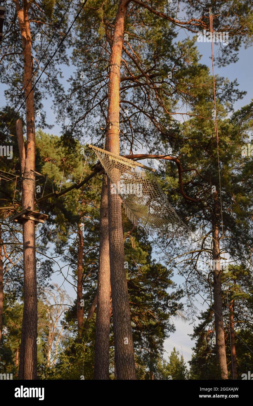 Sunlit obstacle course high in the trees in the rope park Stock Photo ...