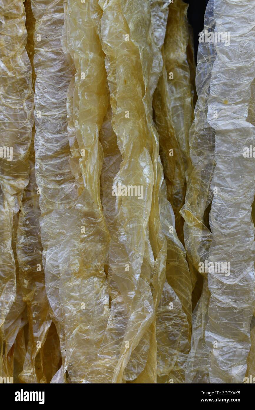 Close up of Dried intestines used for traditional sausage preparation ...