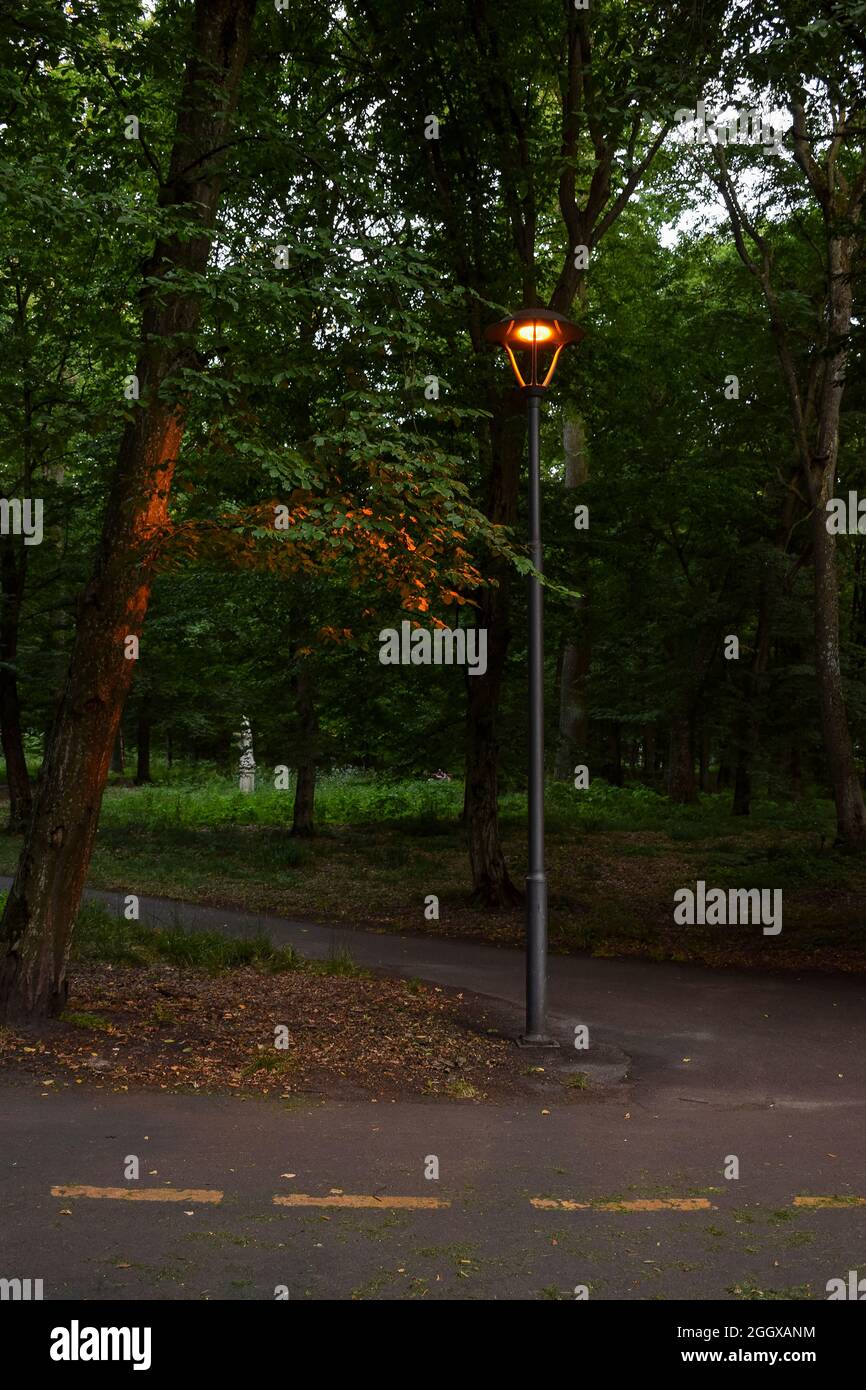 Glowing lantern in a summer park with a path for walking bicycles and ...