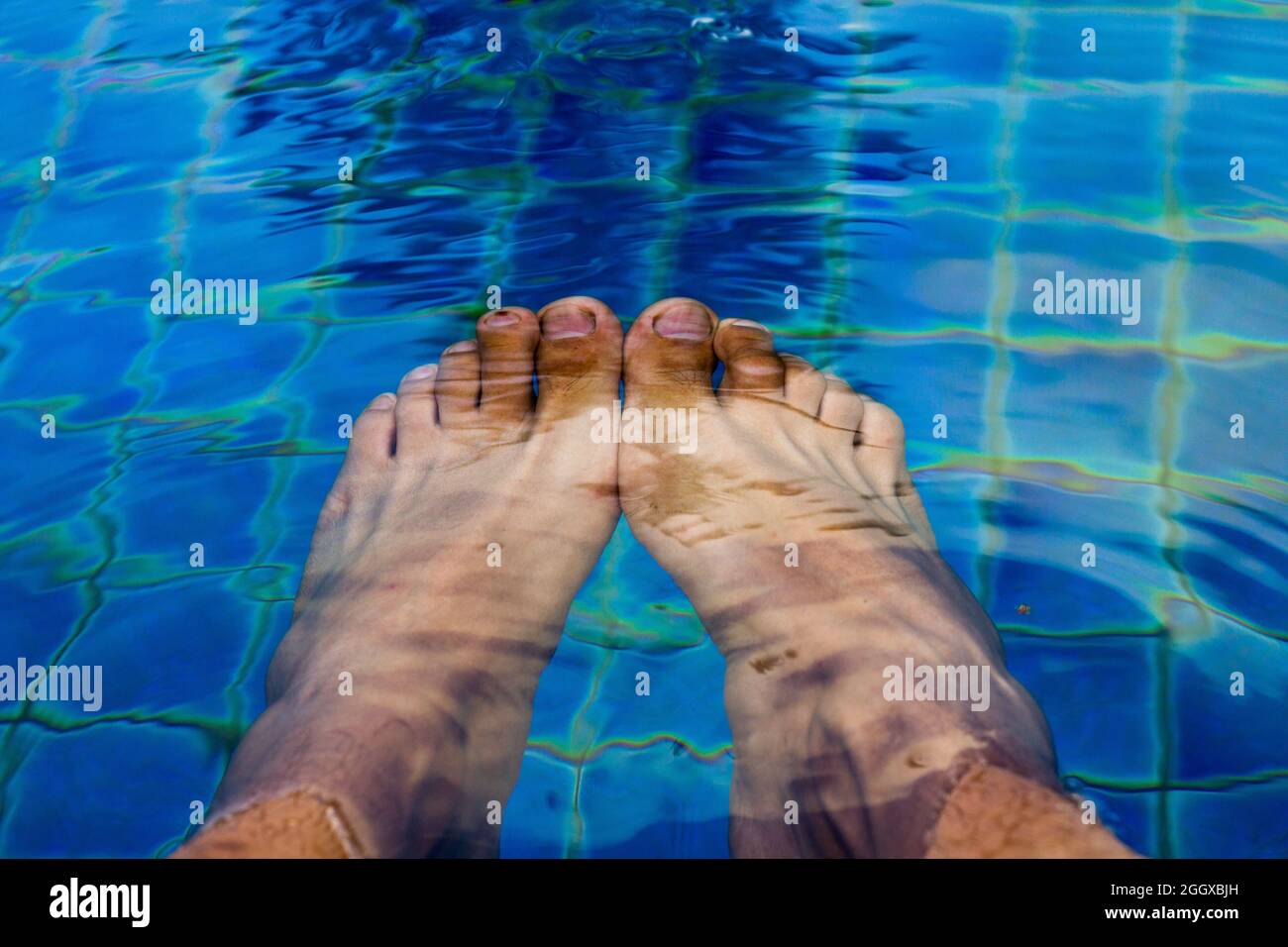 Swiming with people hi-res stock photography and images - Alamy