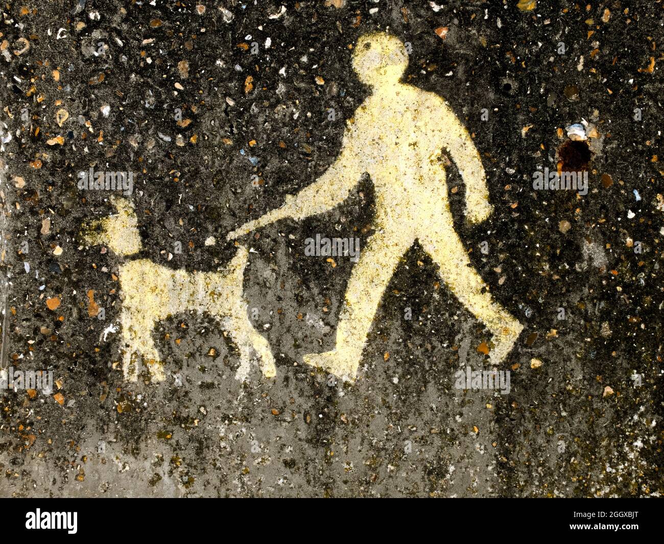Yellow painted dog walking route sign on a concrete wall Stock Photo ...