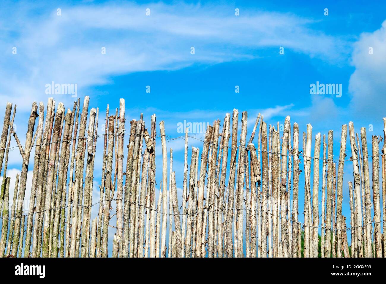 Light fence made of sticks. Garden architecture Stock Photo - Alamy
