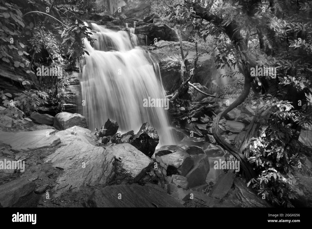 Beautiful Bamni waterfall having full streams of water flowing downhill ...