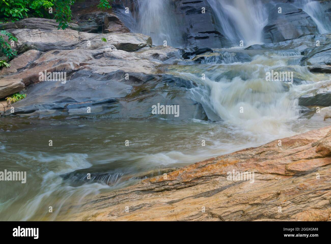 Monsoon forest , rainy season hi-res stock photography and images - Alamy