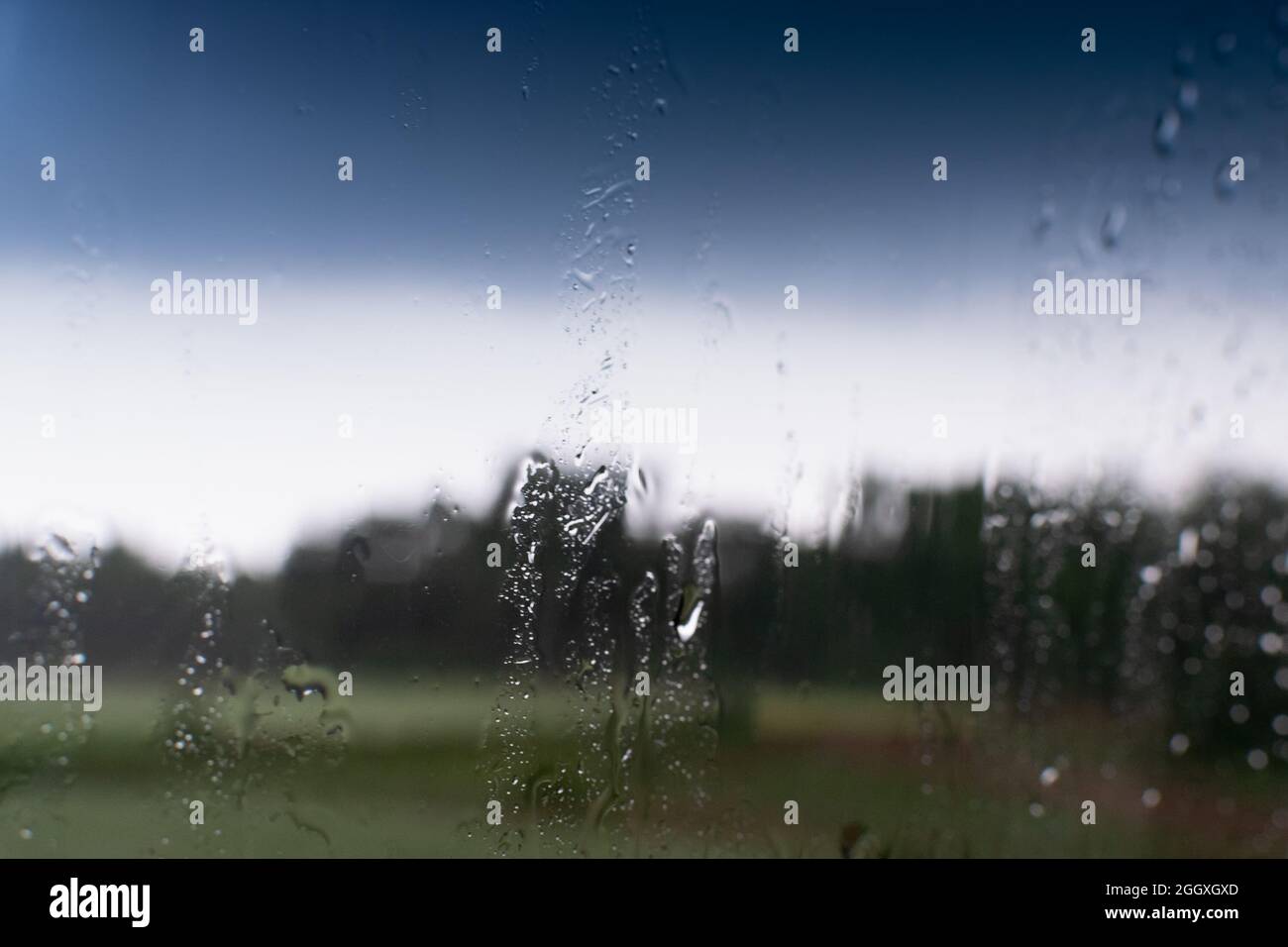 Abstract image of monsoon, blurred blue sky with green natural ...