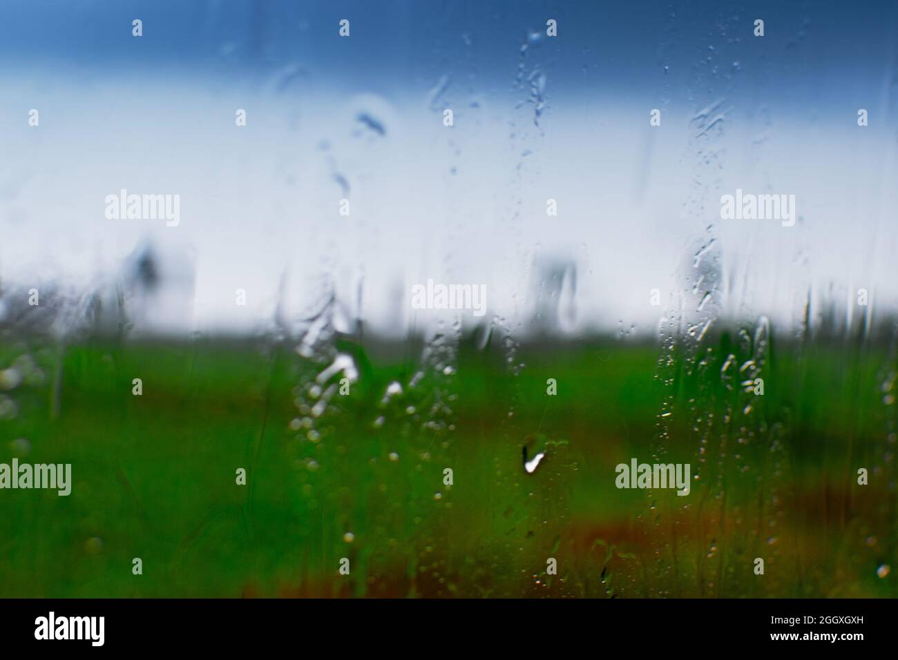 Abstract image of monsoon, blurred blue sky with green natural ...