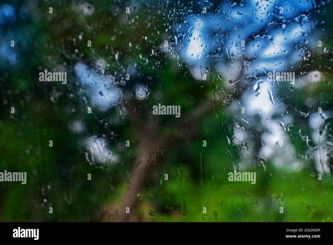 Abstract image of monsoon, blurred blue sky with green natural ...