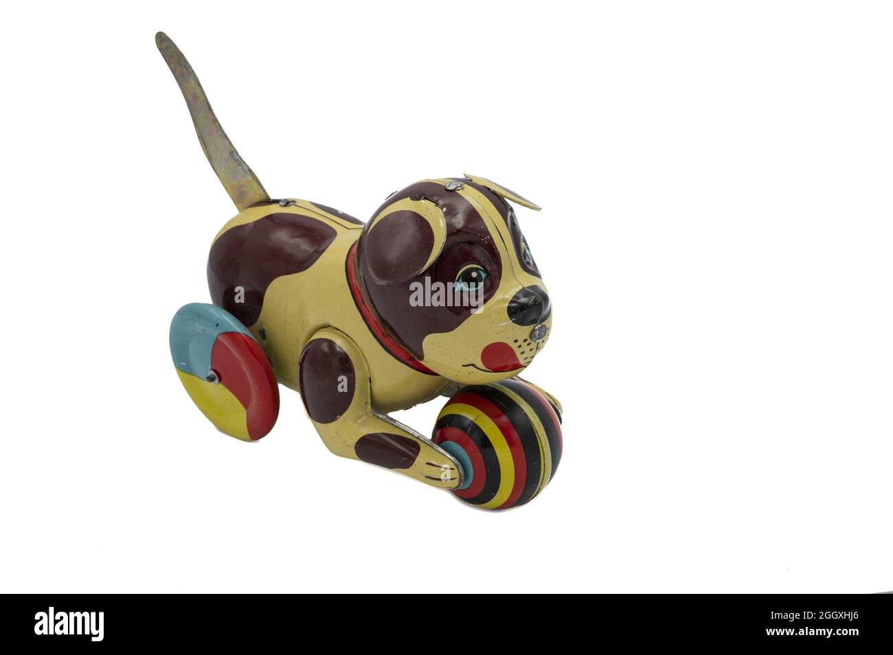 Closeup of a toy doy with wheels isolated on a white background Stock ...