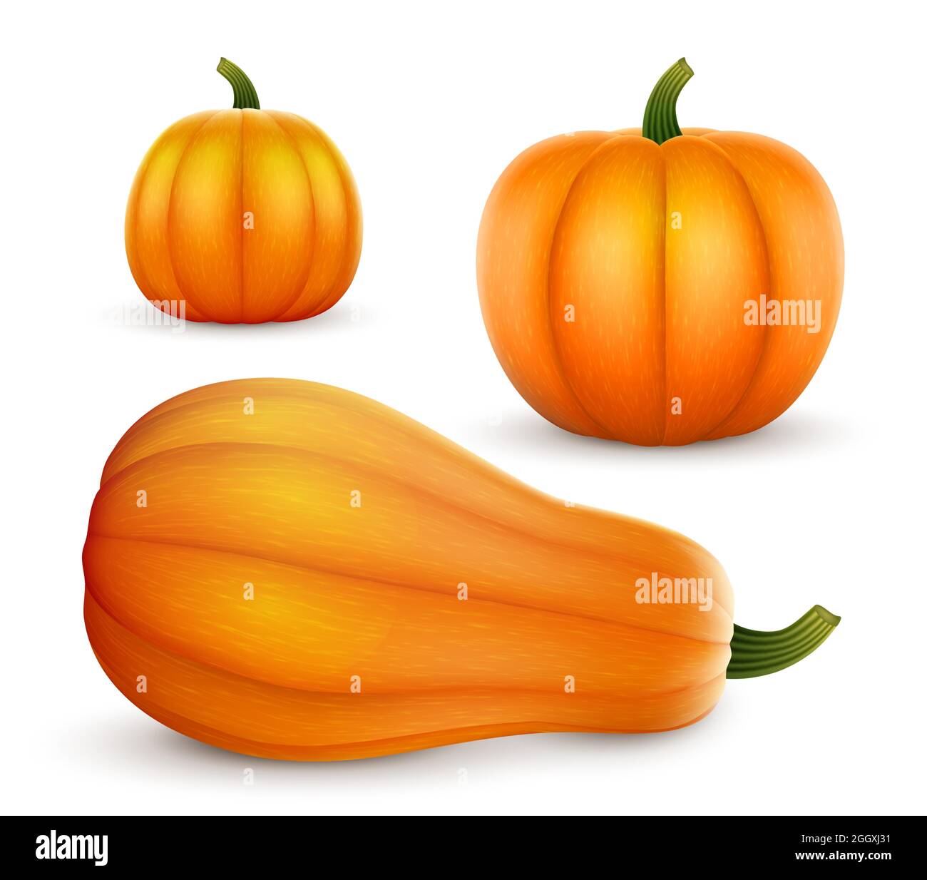 Set of realistic pumpkins of different shapes. Halloween and ...