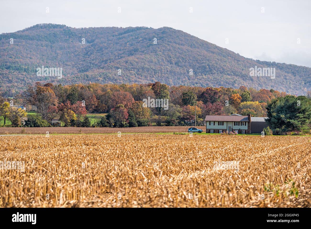 Agriculture landscape with house home in autumn fall season farm field ...
