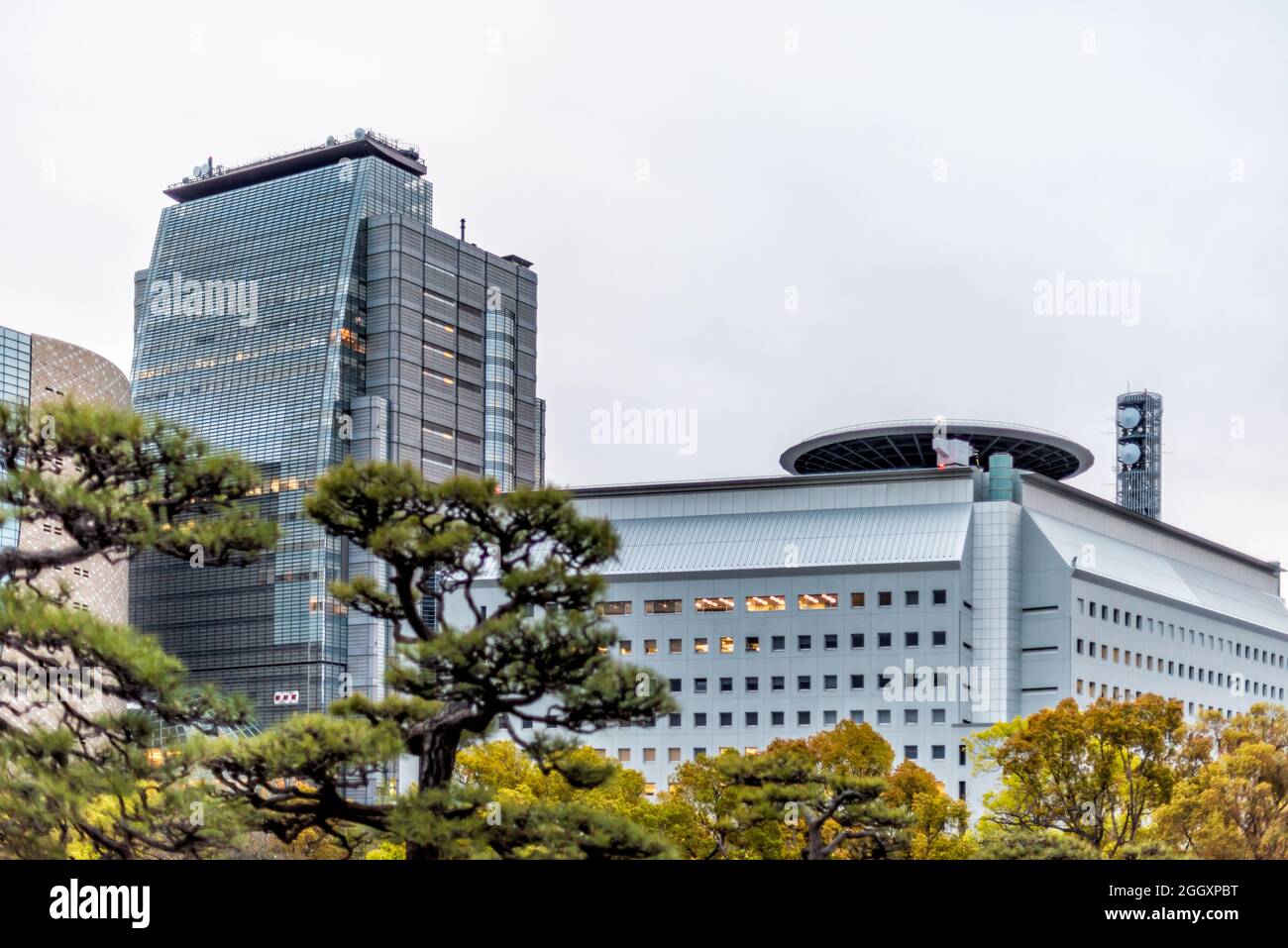 Osaka, Japan modern buildings cityscape closeup and trees looking up on ...