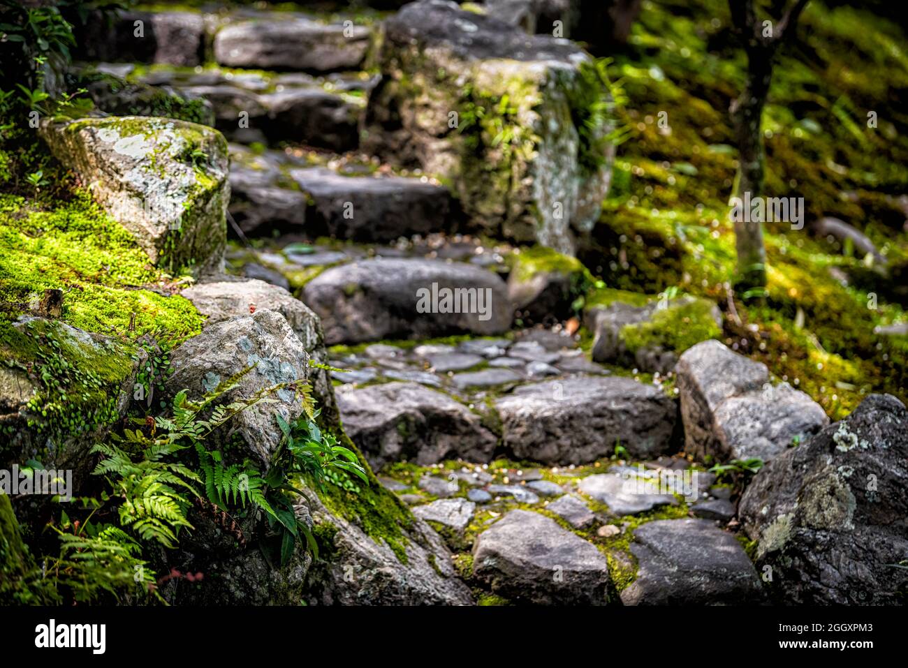 Nara, Japan traditional zen garden during spring with old stone path ...