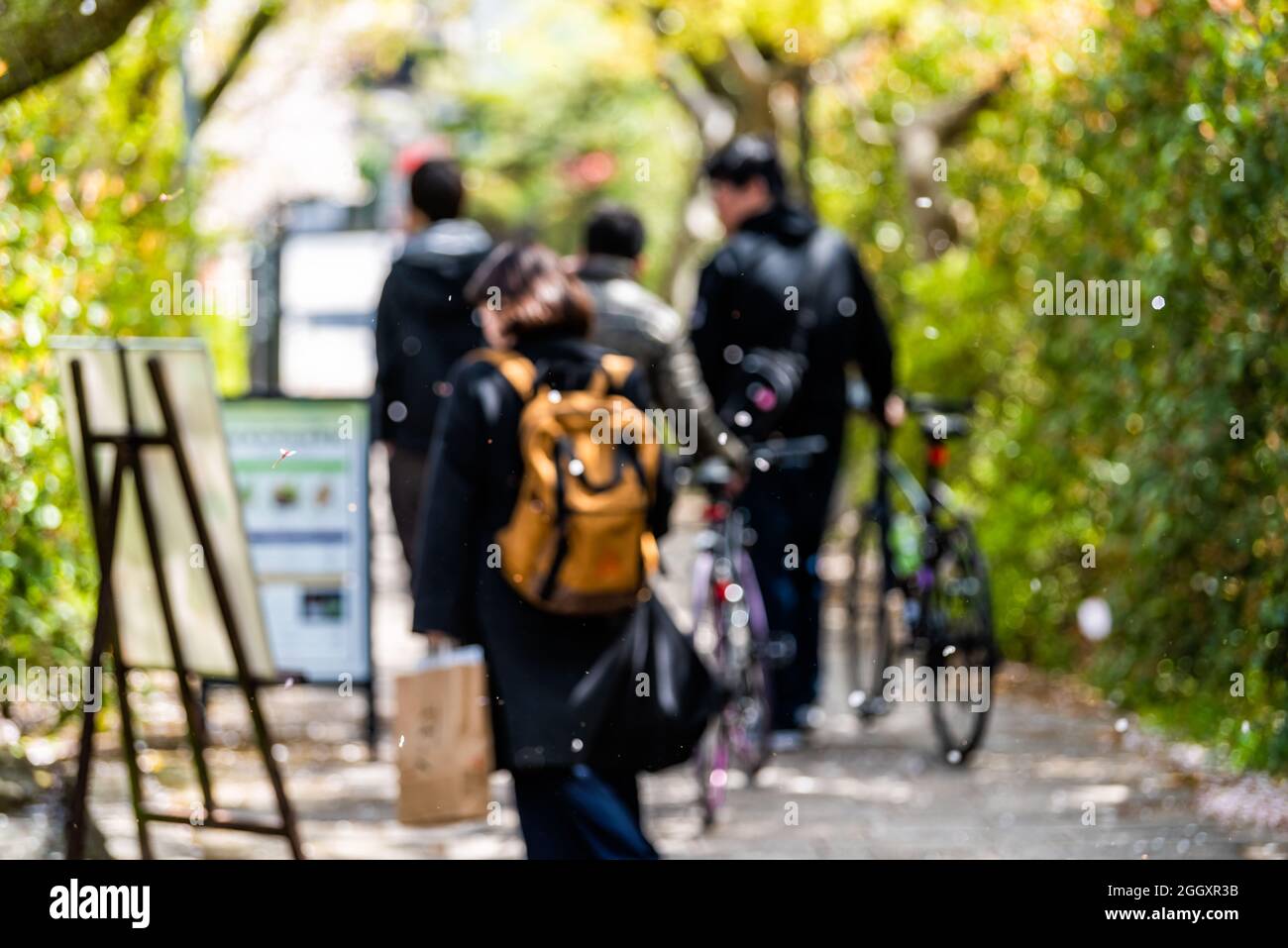 Uji, Japan in spring in village town famous for green tea and focus on ...