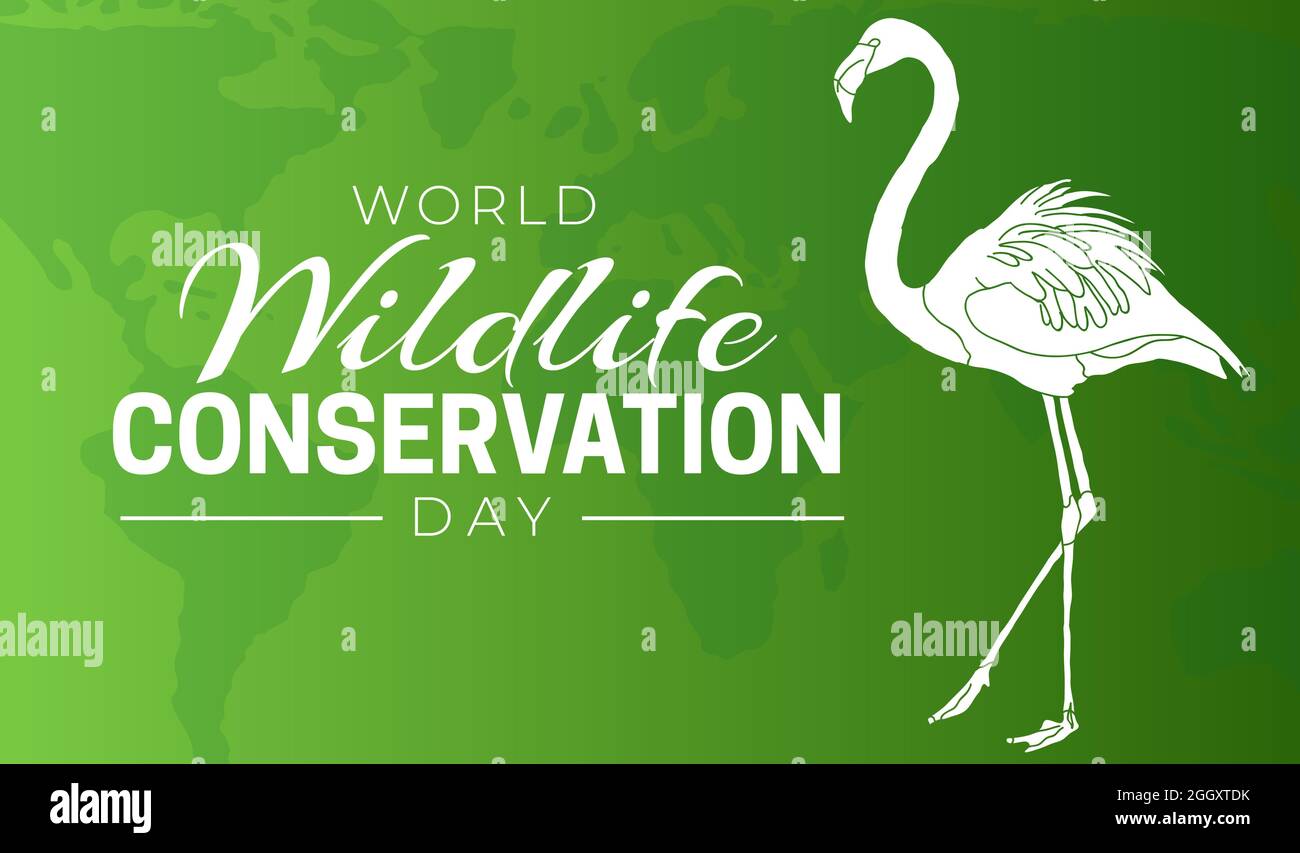 World Wildlife Conservation Day Background Illustration with Bird Stock ...