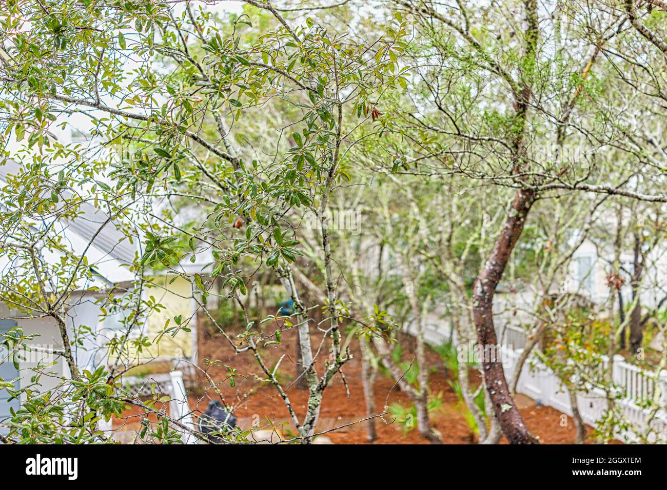 Raining weather with rain drops falling in Seaside, Florida with view ...