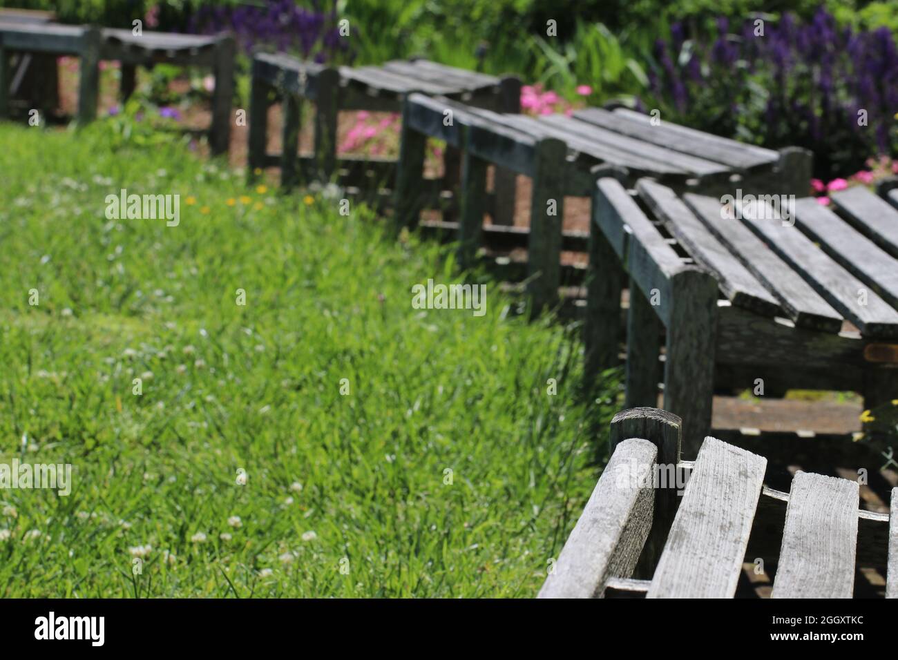 Five benches curl from right to left across the frame, forming an arc ...
