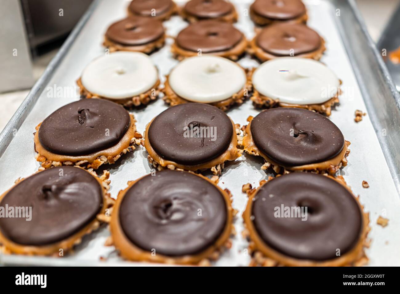 Caramel loggerhead turtle cookies with layers of white dark and milk ...
