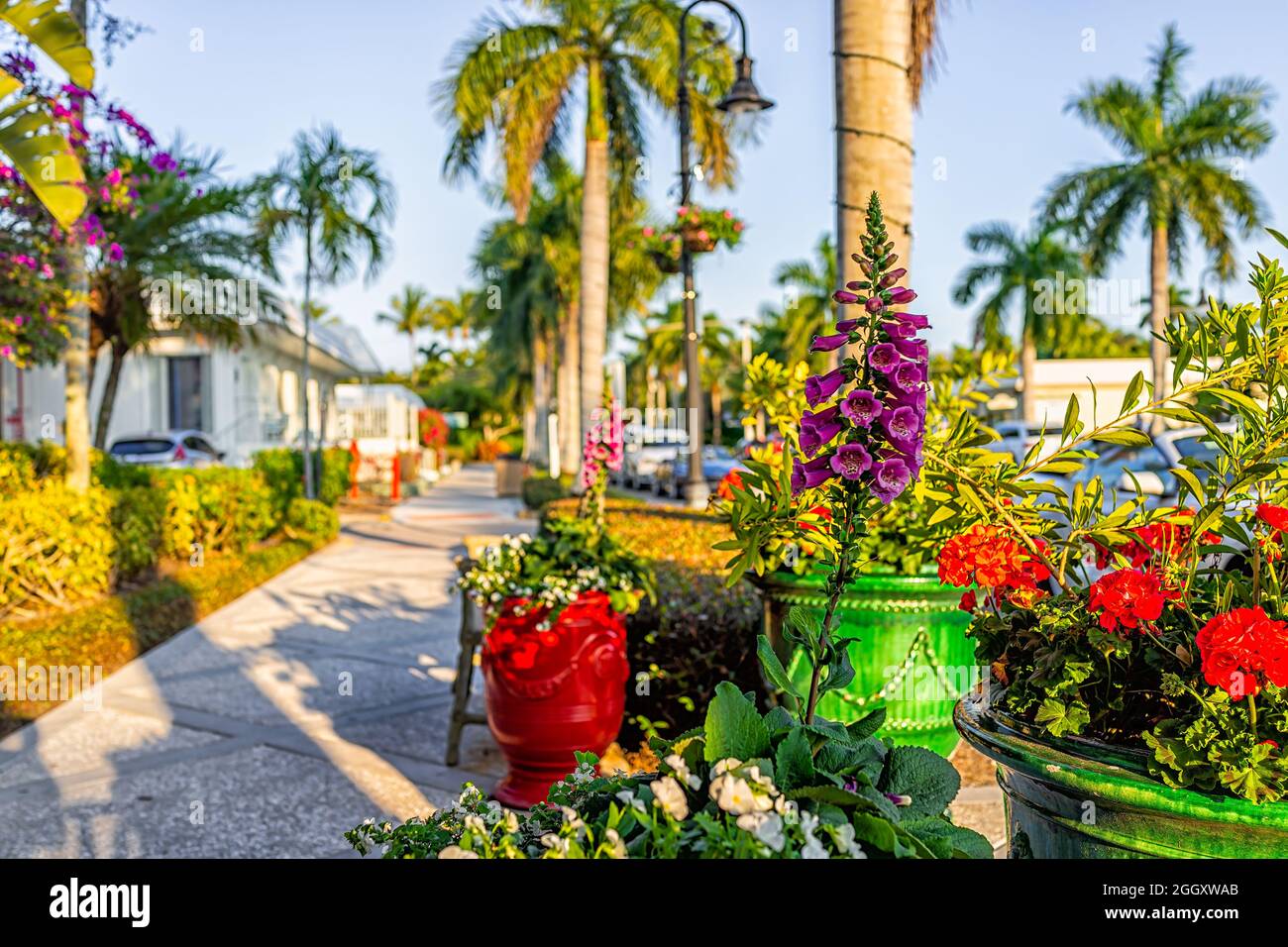 Naples Florida Flowers 5th Ave Florist Of Marco Delivery Locations