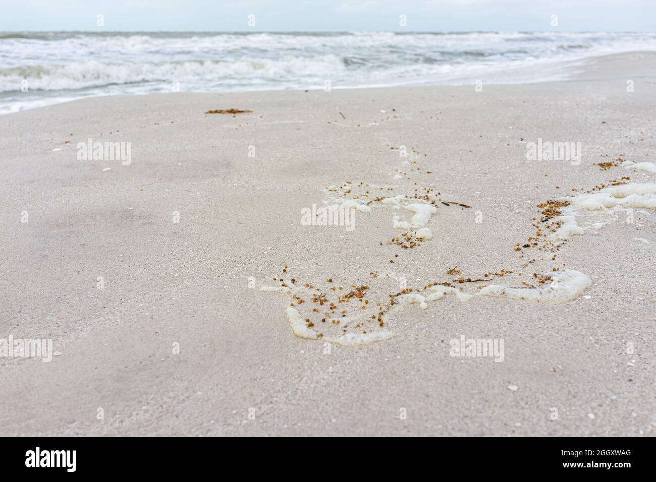 Wide low ground level angle view at Vanderbilt beach in Naples, Florida ...