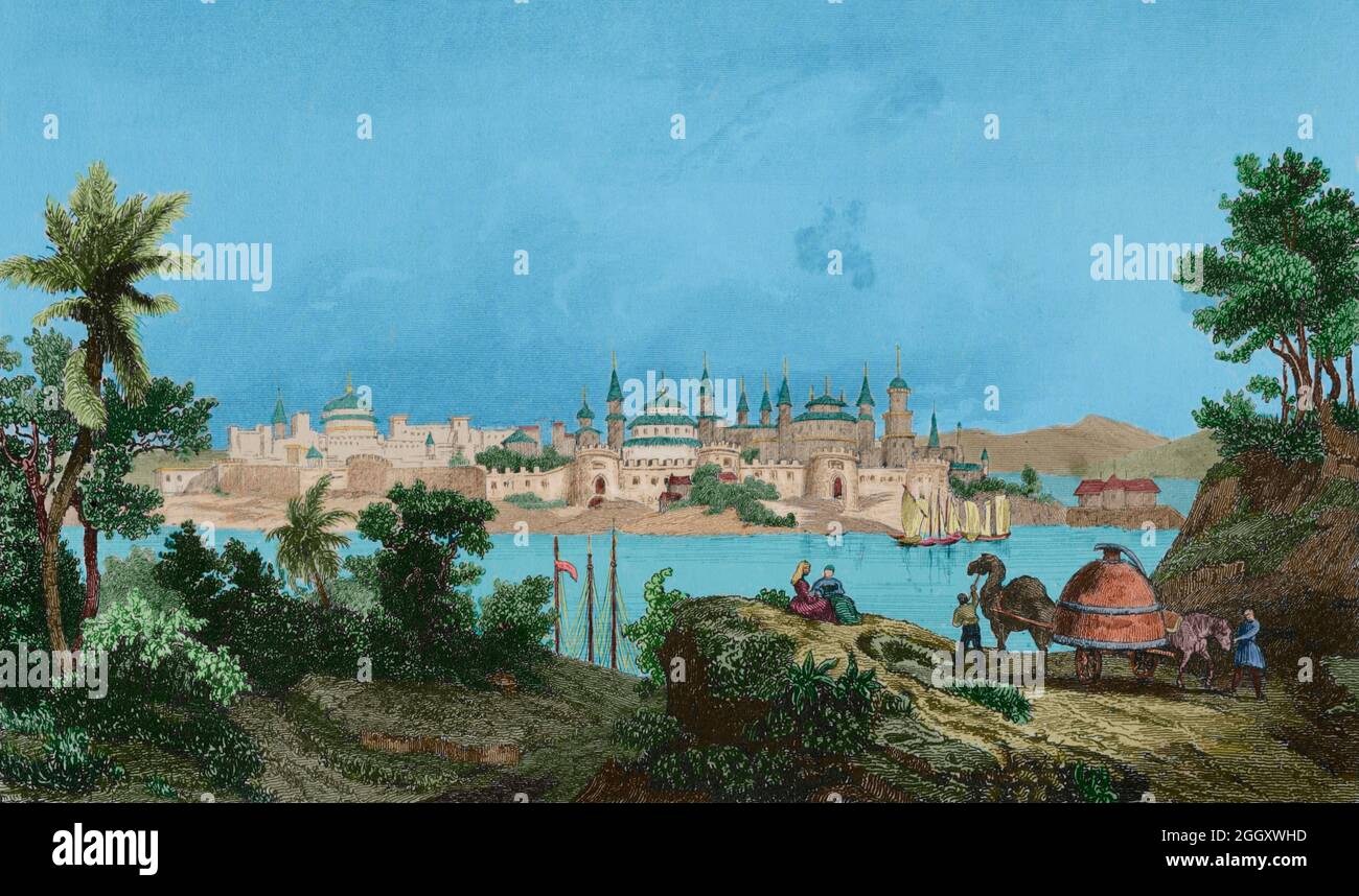 Caspian sea palm tree hi-res stock photography and images - Alamy